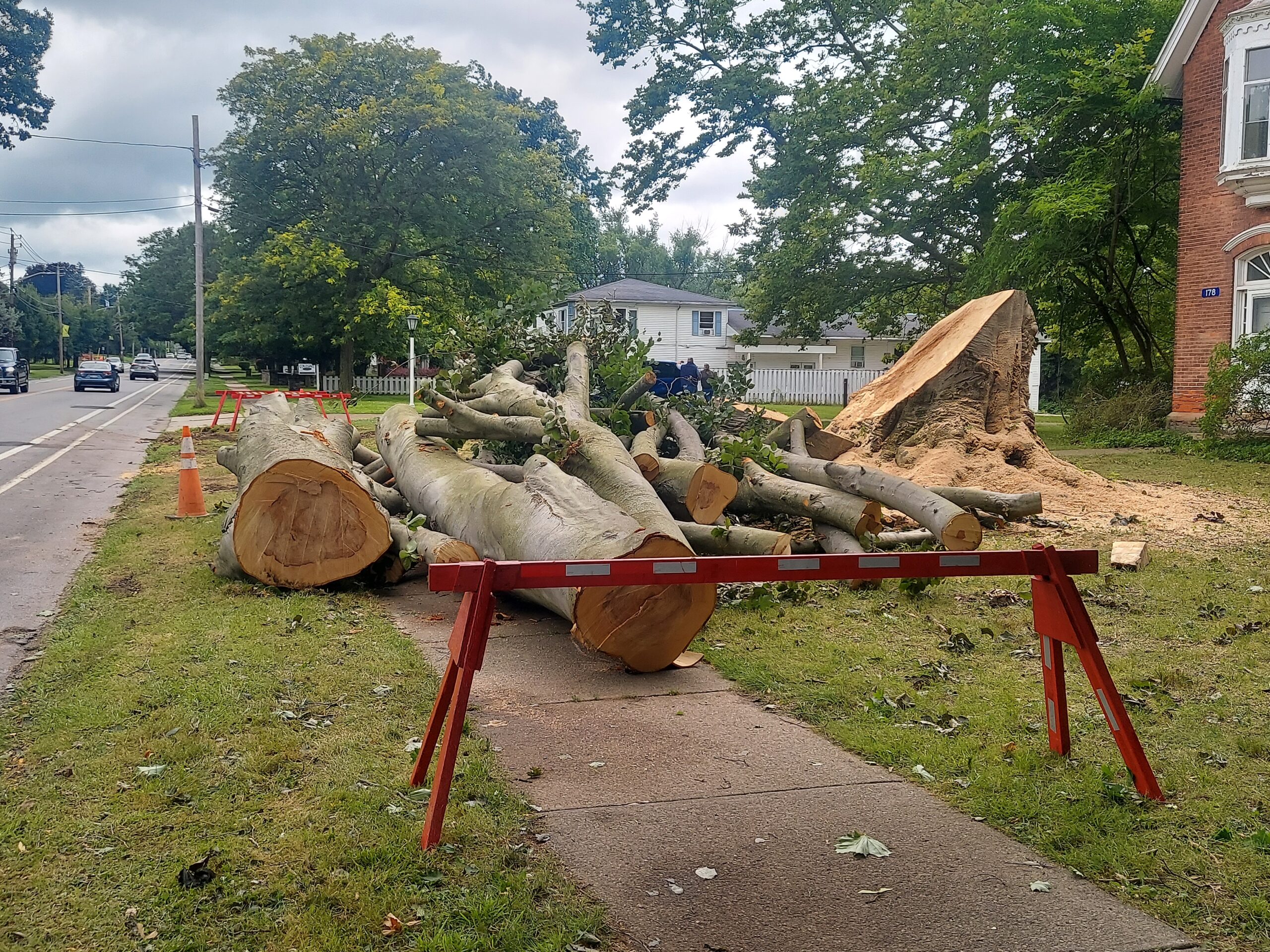 Fenner House tree cut after damage | News, Sports, Jobs - Observer Today